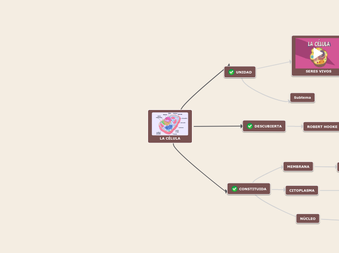 LA CÉLULA - Mind Map